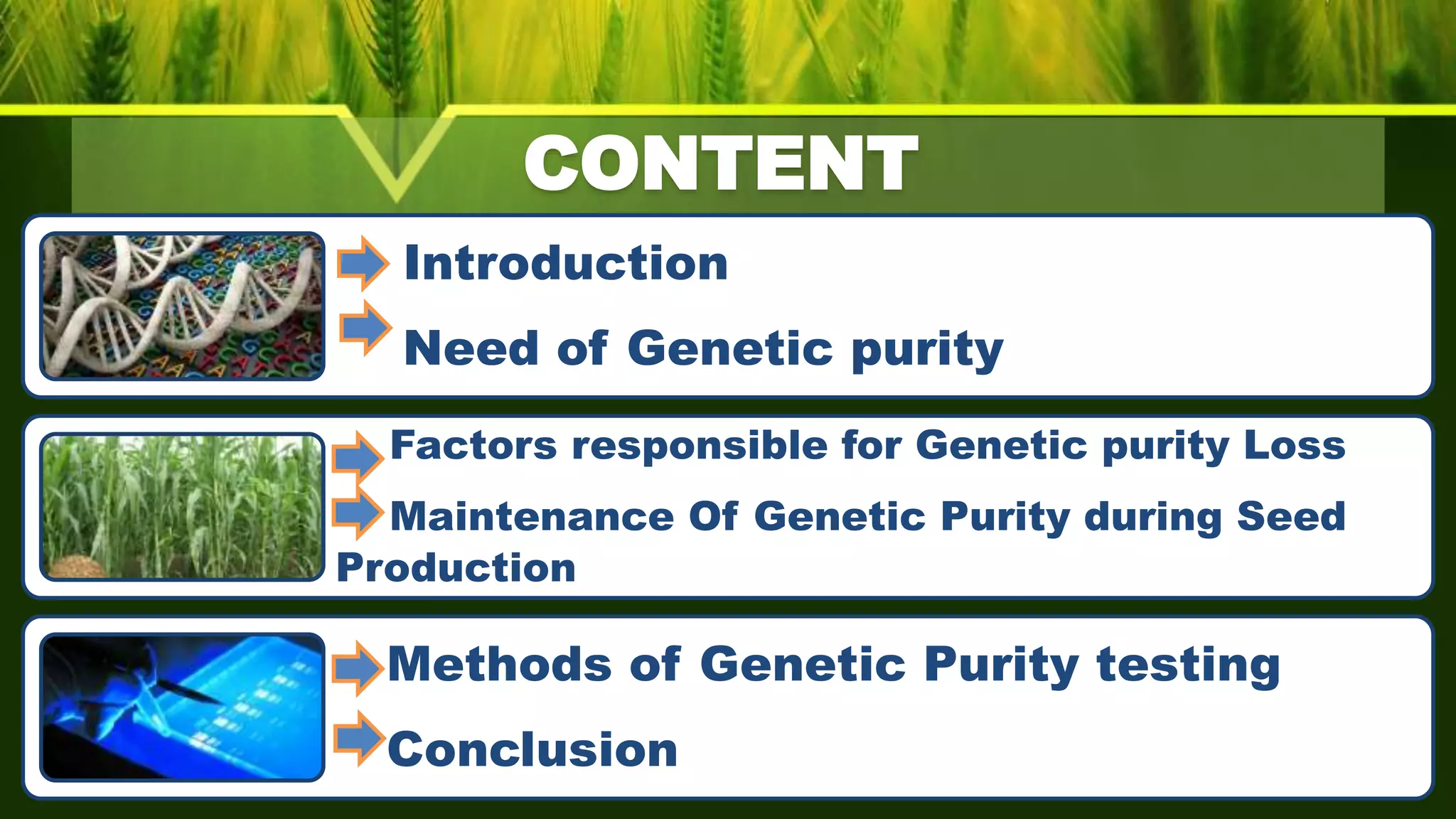 maintainance of genetic purity methods of genetic purity testing | PPTX