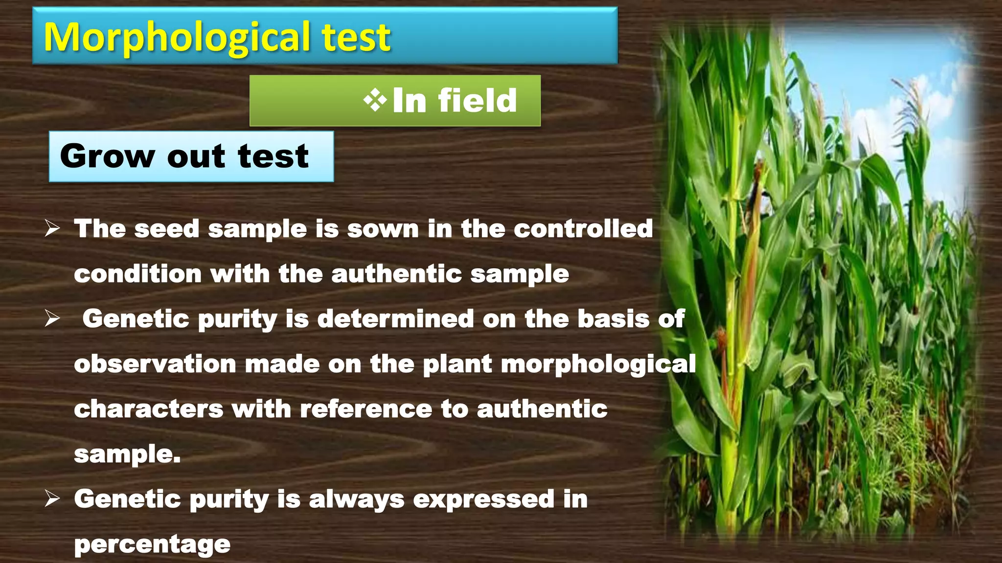 maintainance of genetic purity methods of genetic purity testing | PPTX