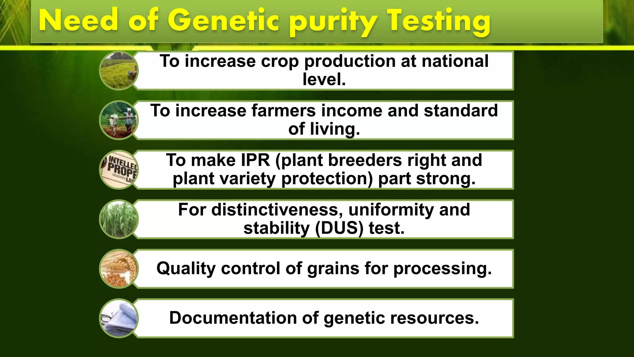 maintainance of genetic purity methods of genetic purity testing | PPTX