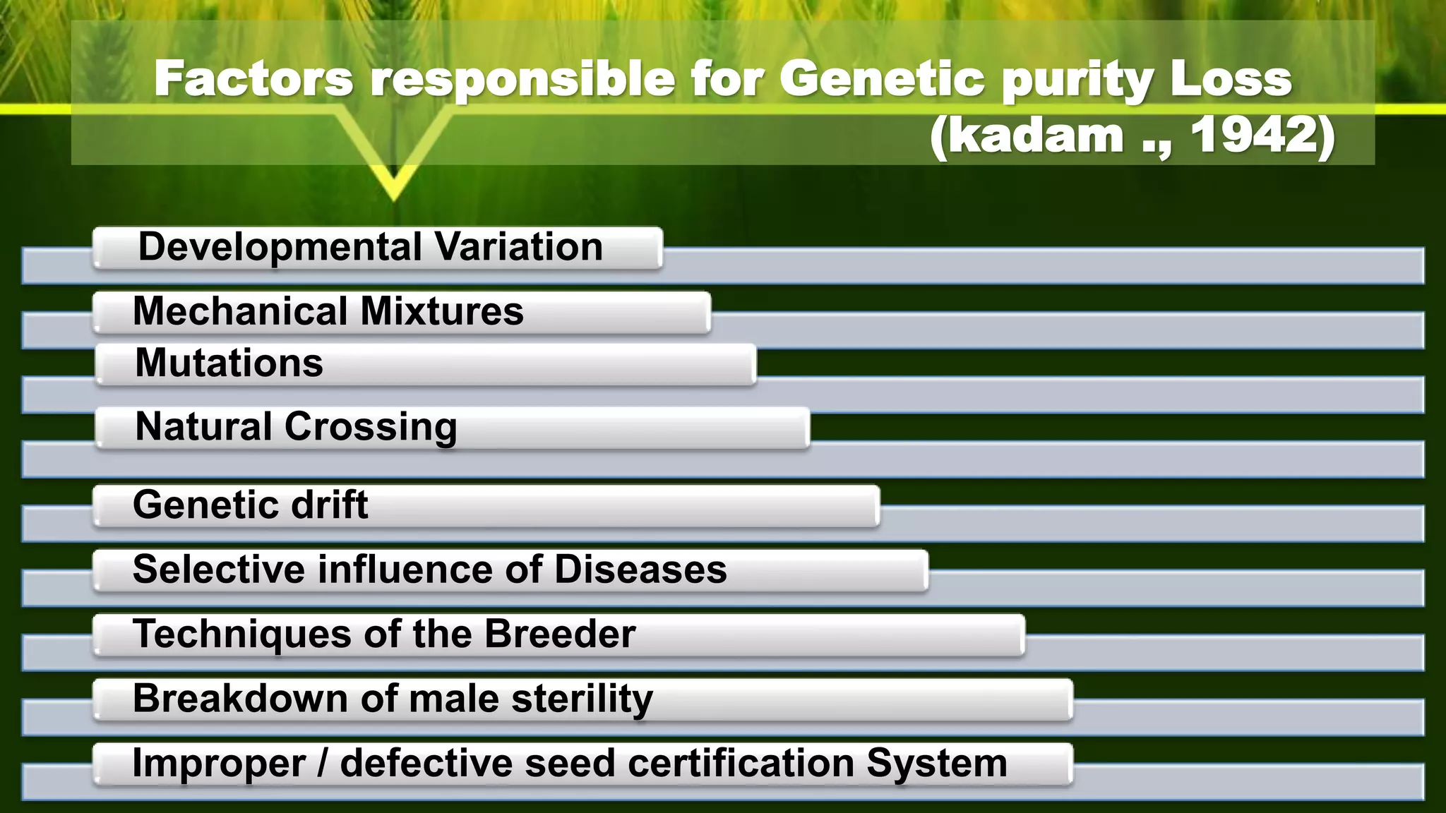 maintainance of genetic purity methods of genetic purity testing | PPTX