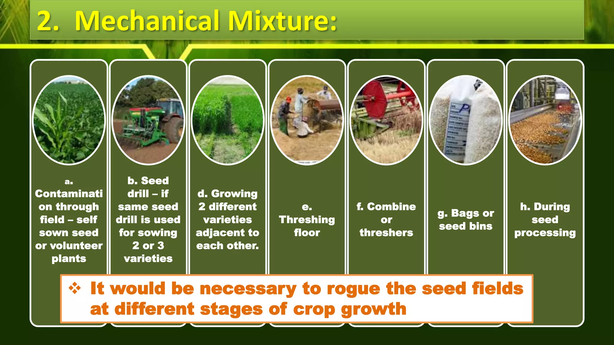 maintainance of genetic purity methods of genetic purity testing | PPTX
