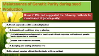 maintainance of genetic purity methods of genetic purity testing | PPTX