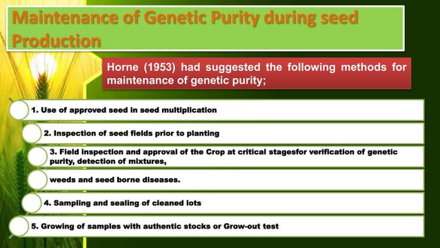 maintainance of genetic purity methods of genetic purity testing | PPTX ...