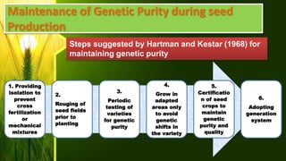 maintainance of genetic purity methods of genetic purity testing | PPTX