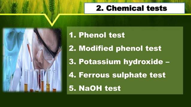 maintainance of genetic purity methods of genetic purity testing | PPTX ...