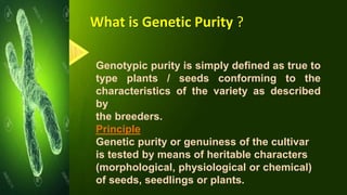 maintainance of genetic purity methods of genetic purity testing | PPTX