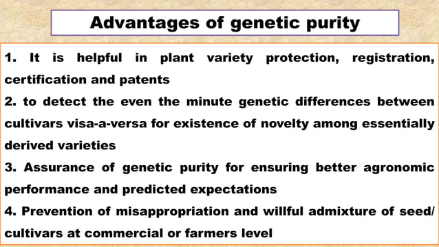 maintainance of genetic purity methods of genetic purity testing | PPTX ...