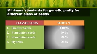 maintainance of genetic purity methods of genetic purity testing | PPTX