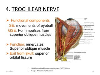 Nerve Supply of Head and Neck & Its Applied anatomy | PPTX