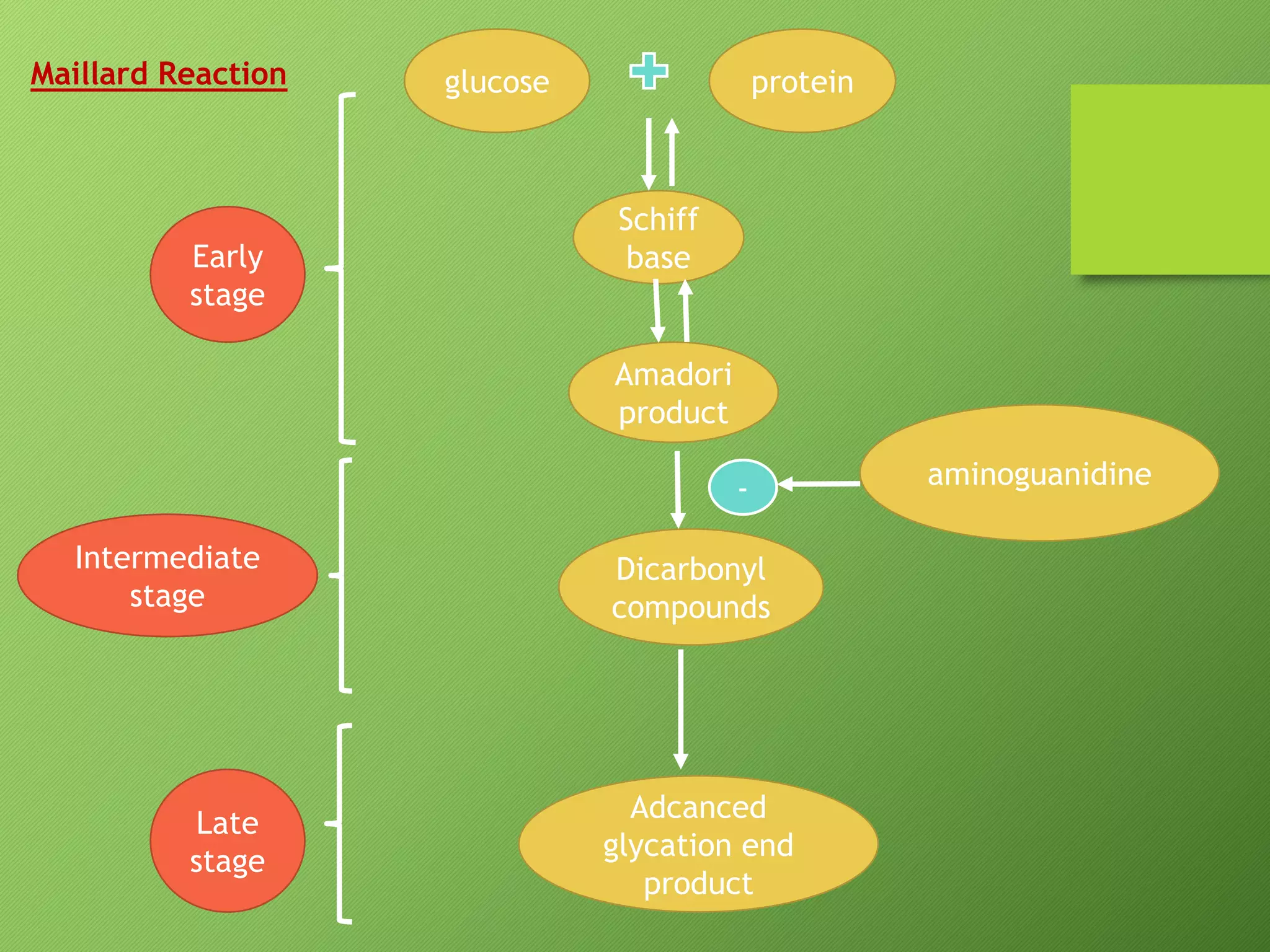 hormonal influences on periodontium | PPTX