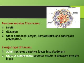 hormonal influences on periodontium | PPT