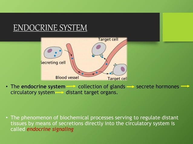 hormonal influences on periodontium | PPTX