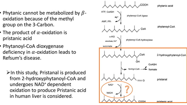Phytanic acid and alpha-oxidation | PPTX | Chemistry | Science