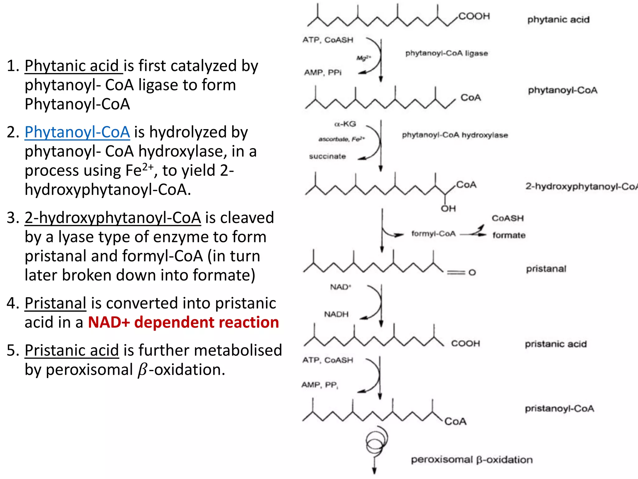 Alpha oxidaiton of Phytanic acid | PPT