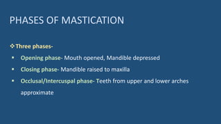 Muscles Of Mastication | PPTX