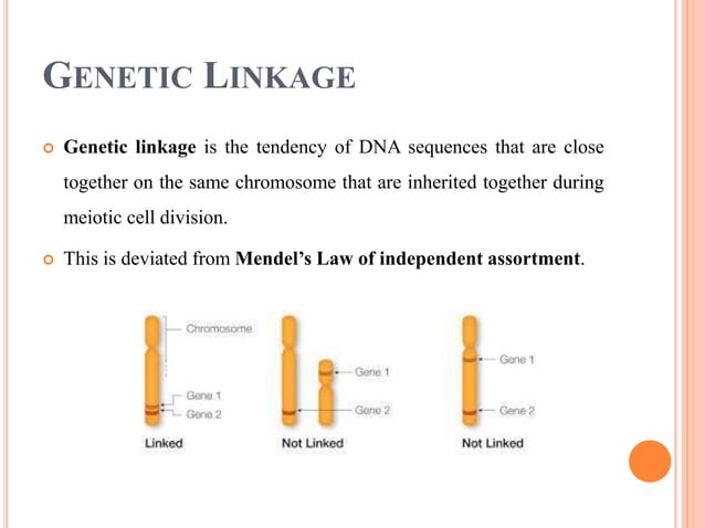 Gene linkage analysis for crime scene | PPTX