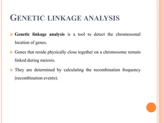 Gene linkage analysis for crime scene | PPTX