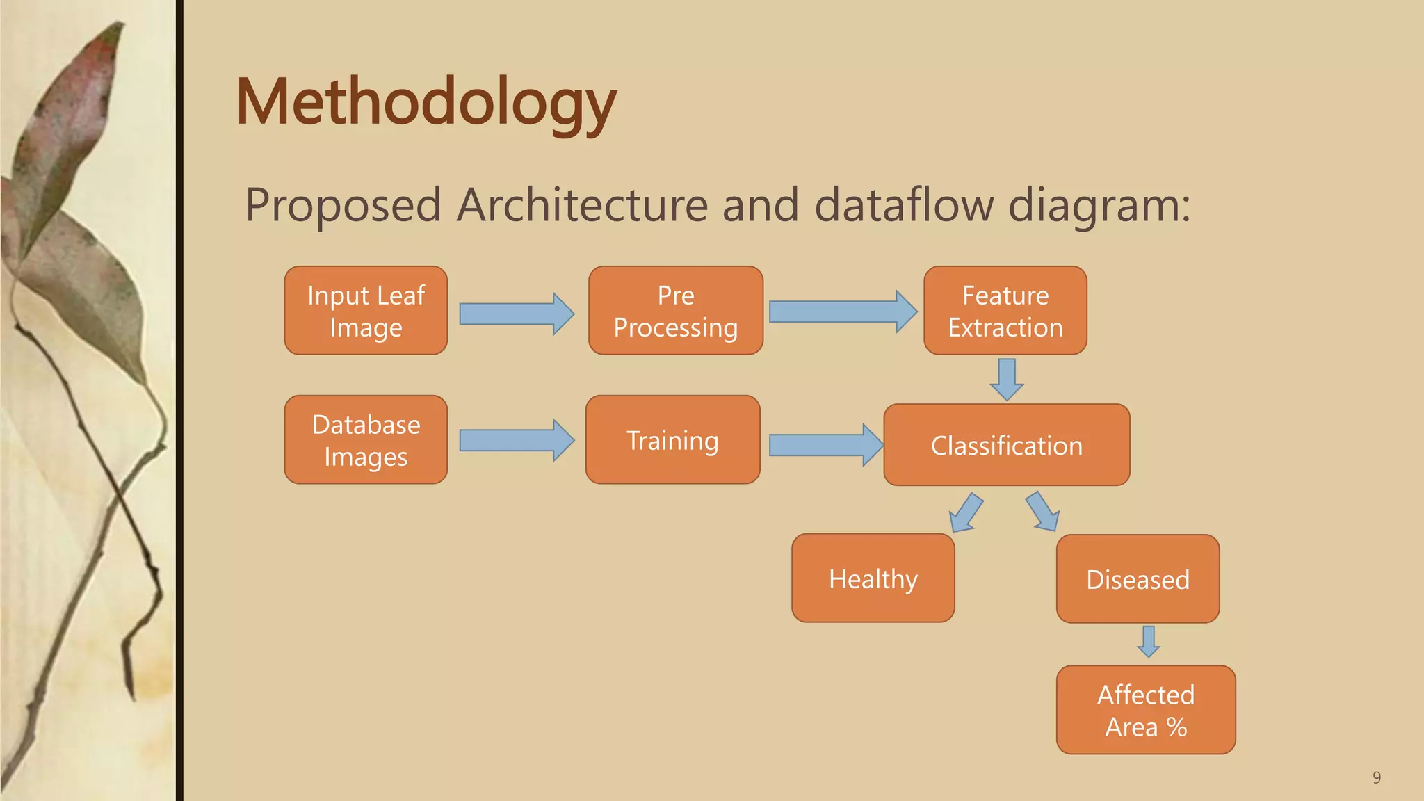 Mango Leaf Disease Detection Pptx