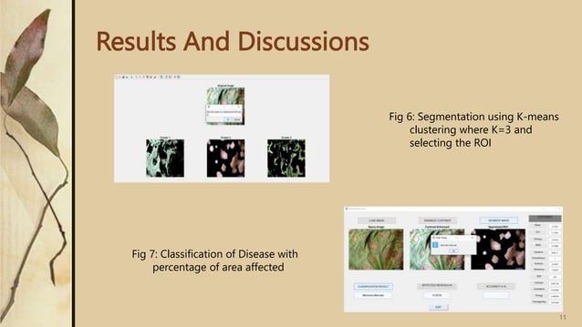 Mango Leaf Disease Detection Pptx