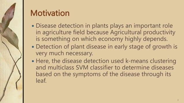Mango Leaf Disease Detection Pptx