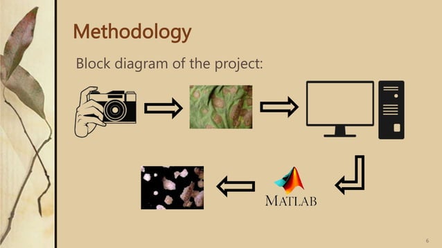 Mango Leaf Disease Detection Pptx