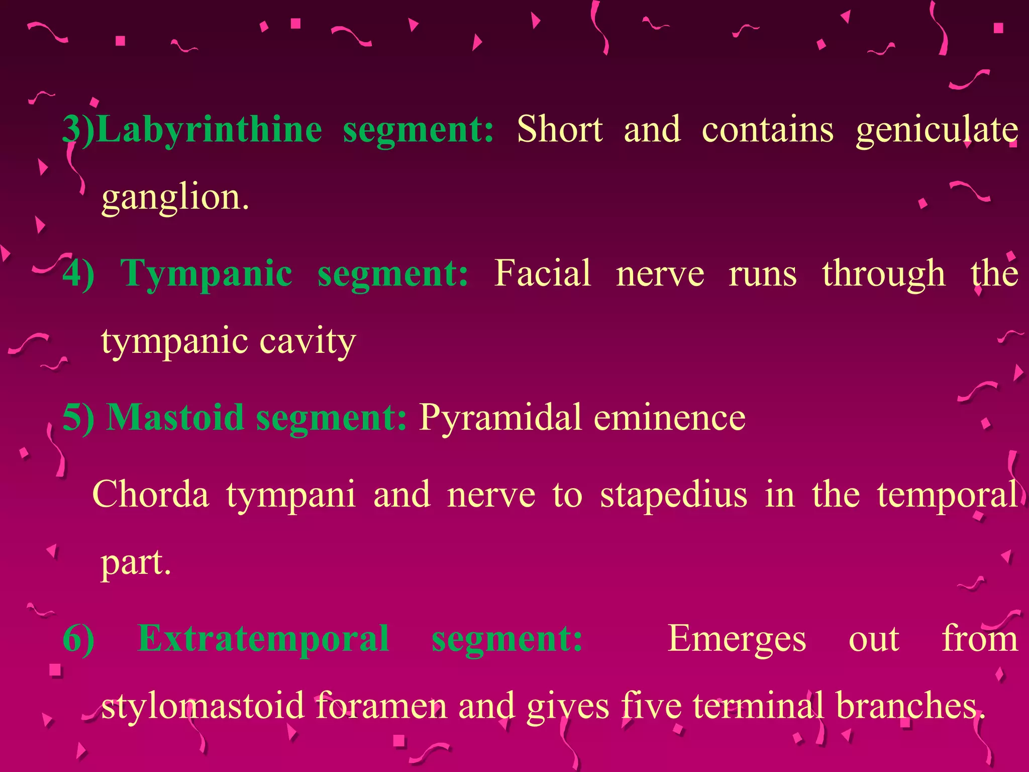 Facial nerve | PPTX