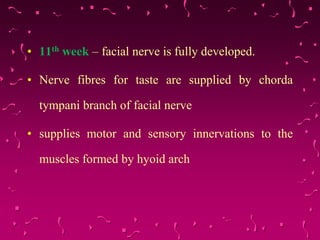Facial nerve | PPTX