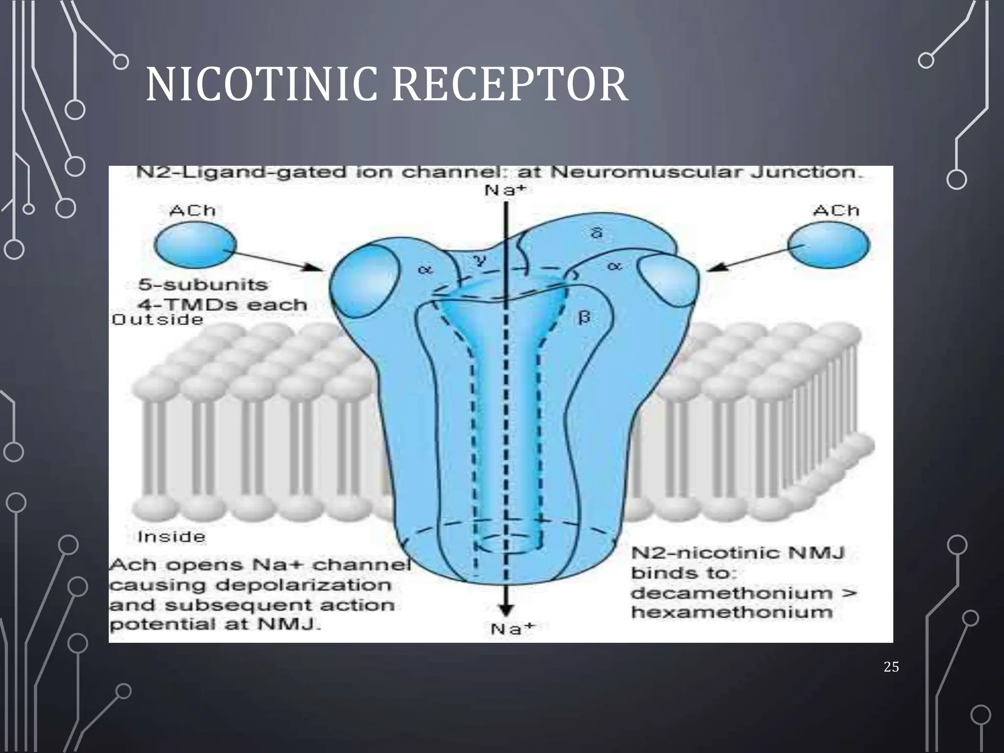 RECEPTORS and its FAMILIES, Detailed Pharmacology | PPTX