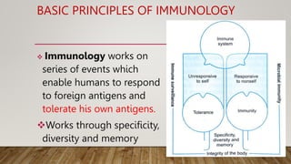 SEMINAR BASICS OF IMMUNOLOGY- Antigens antibodies immunoglobulins and complement system | PPTX ...