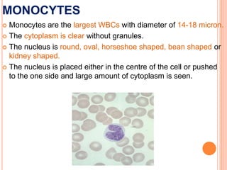 Blood And Blood Disorders | PPTX