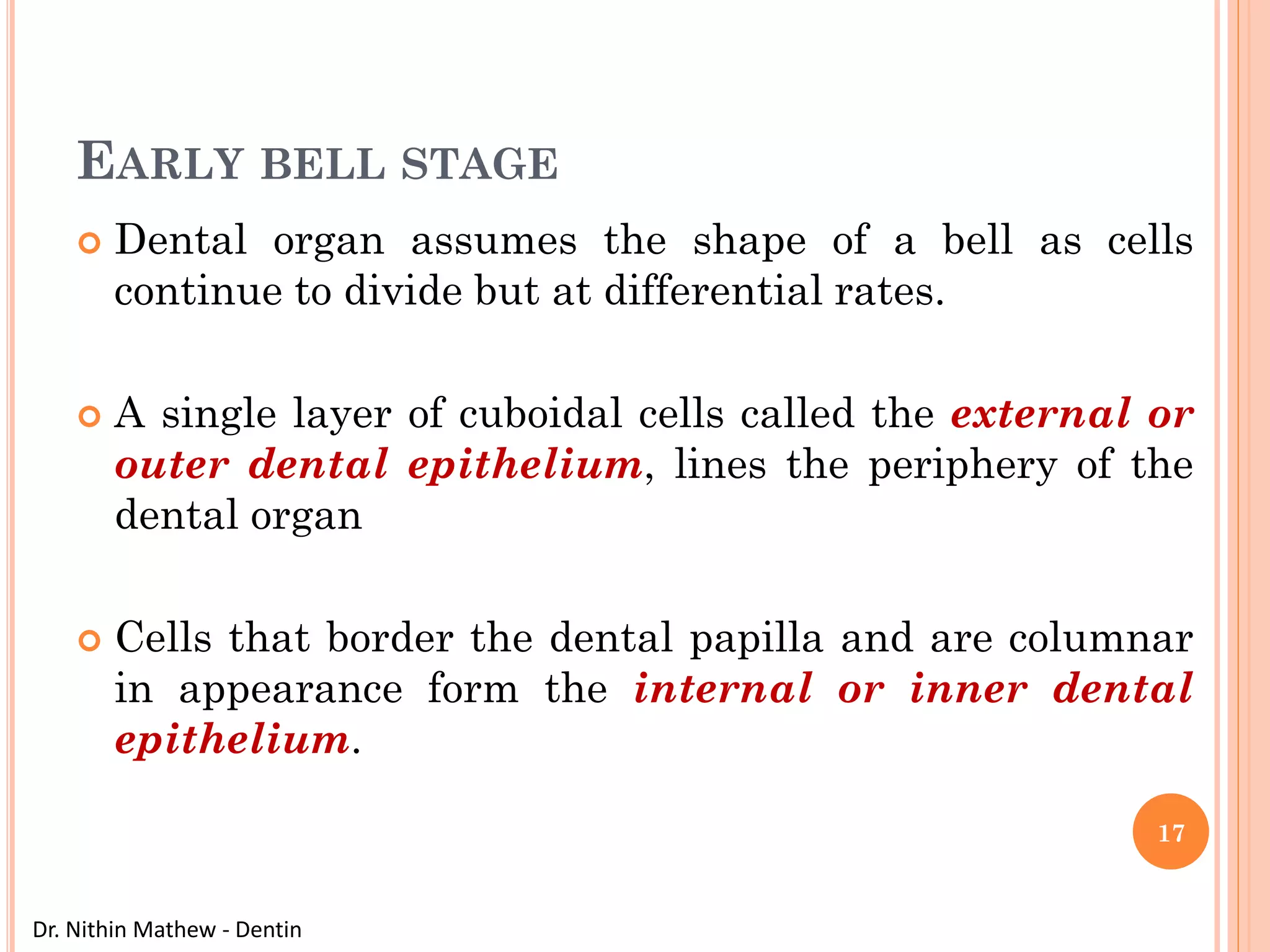 Dentin | PDF