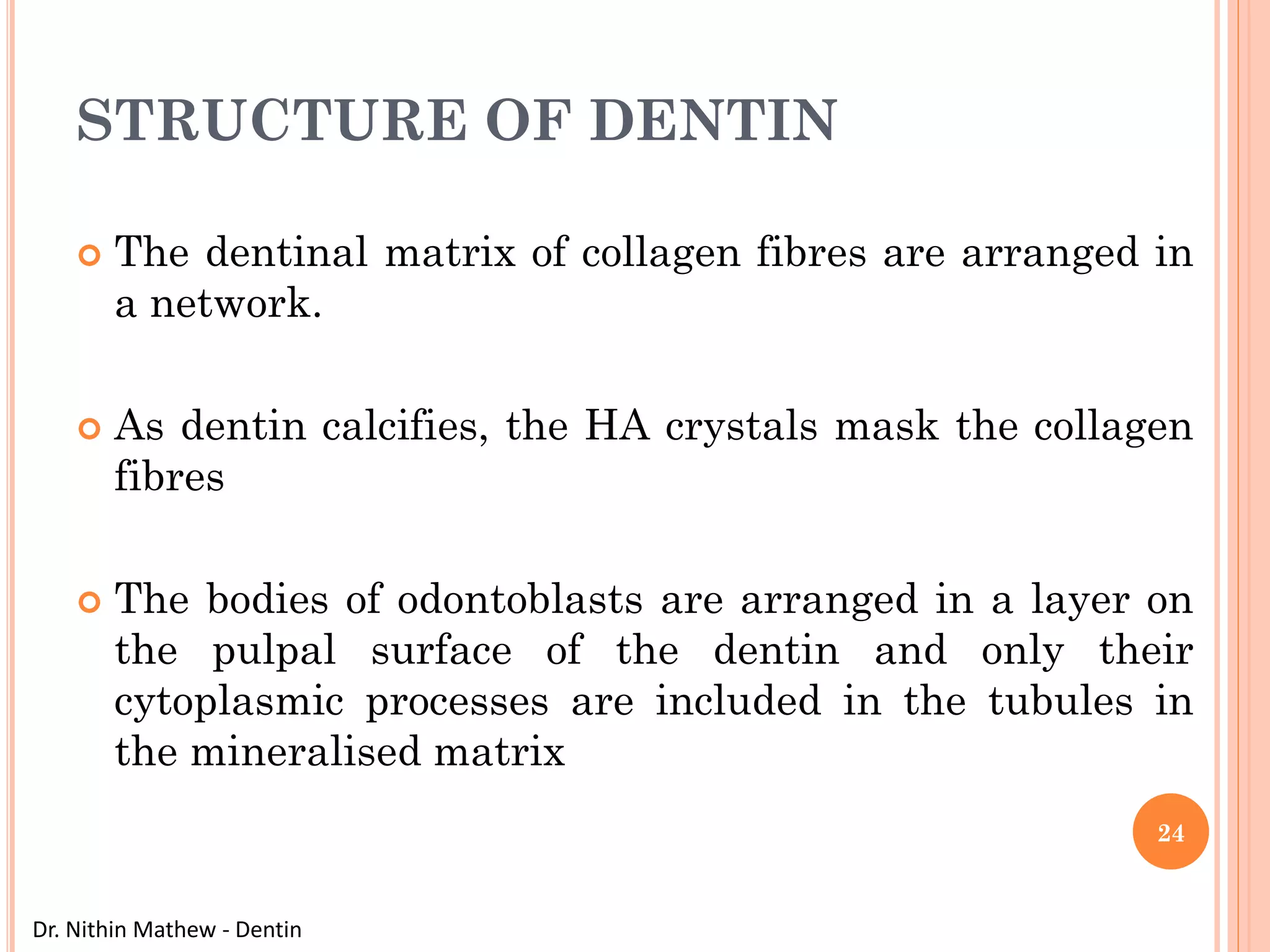 Dentin | PDF | Dental Health | Diseases and Conditions