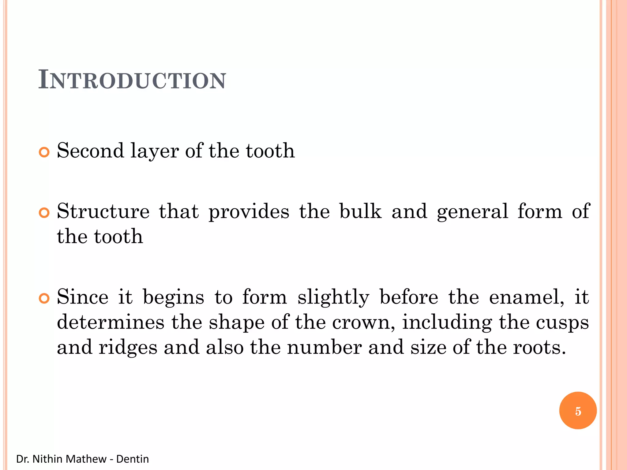 Dentin | PDF