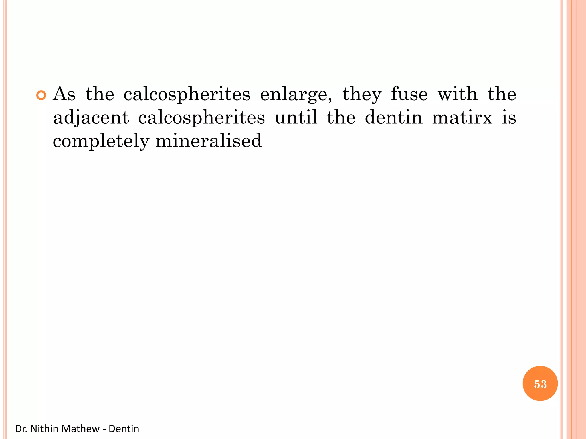 Dentin | PDF