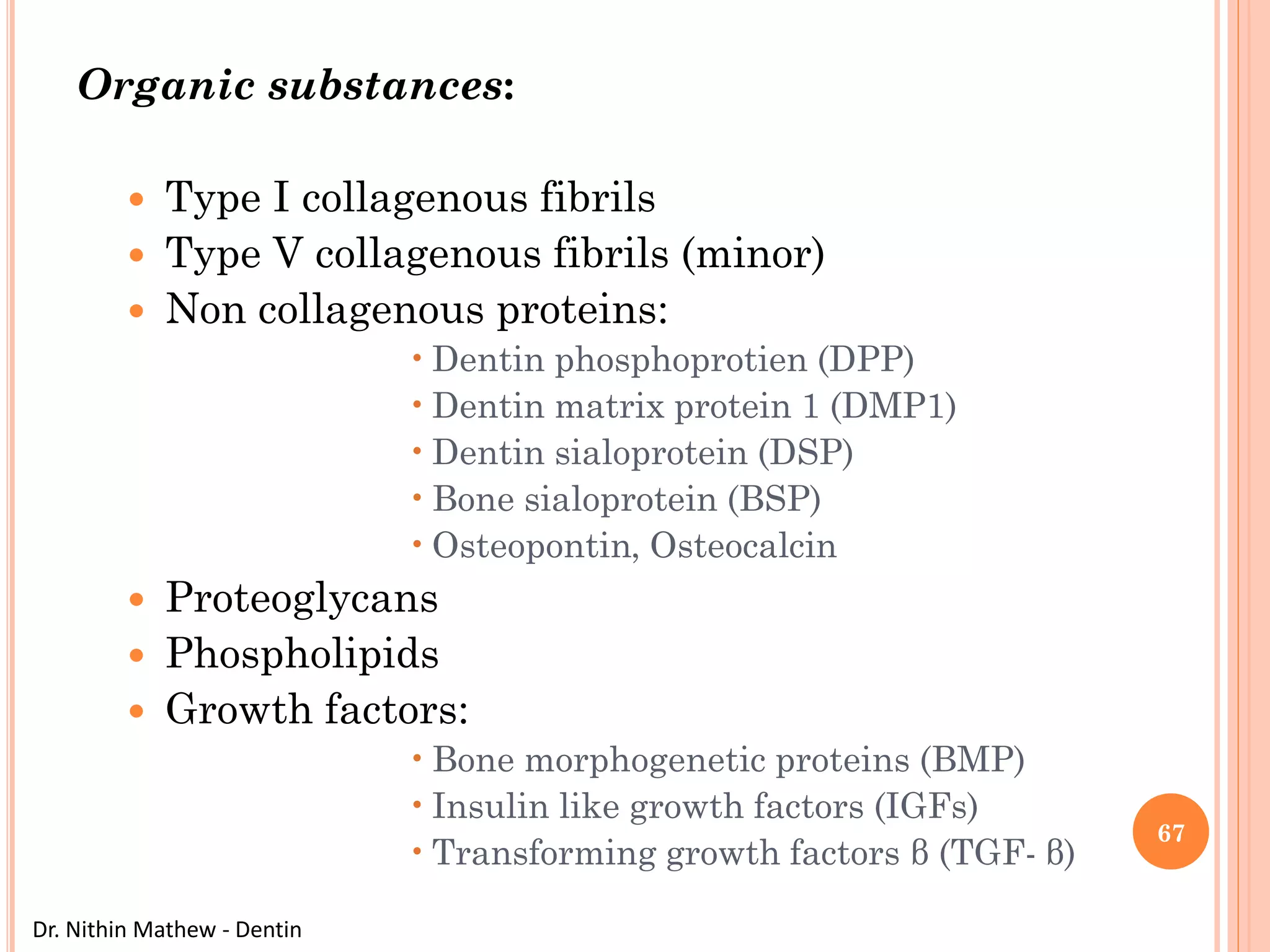 Dentin | PDF