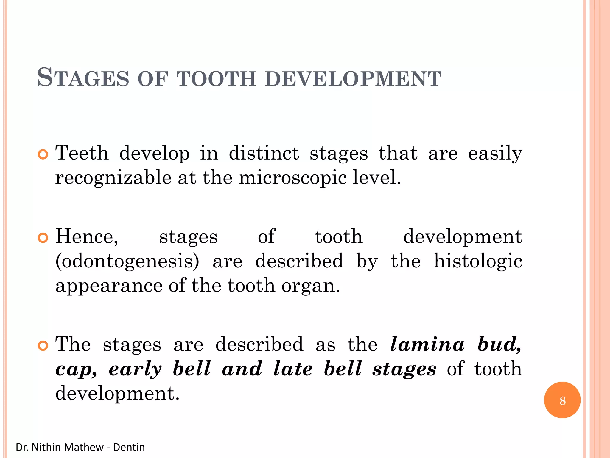 Dentin | PDF