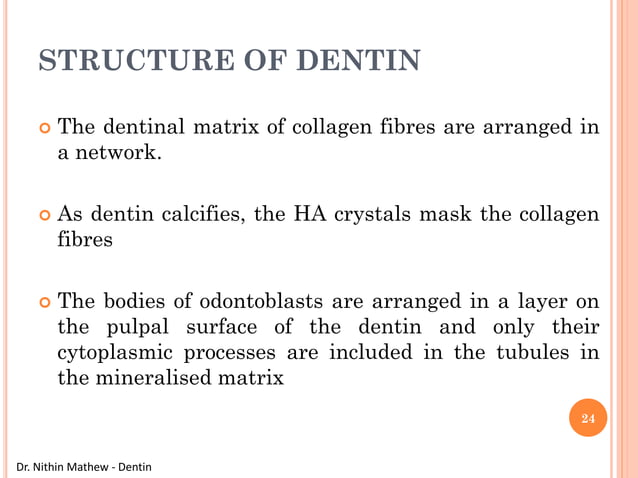 Dentin | PDF | Dental Health | Diseases and Conditions