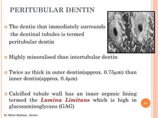 Dentin | PDF