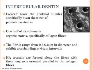 Dentin | PDF