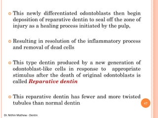 Dentin | PDF
