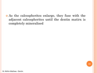Dentin | PDF