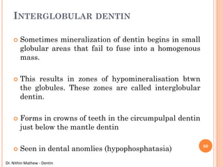 Dentin | PDF
