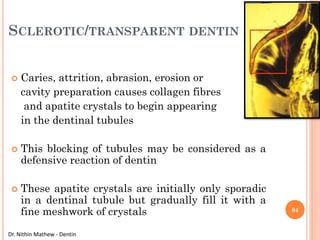 Dentin | PDF