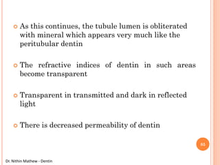 Dentin | PDF