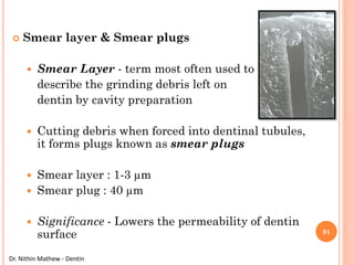 Dentin | PDF