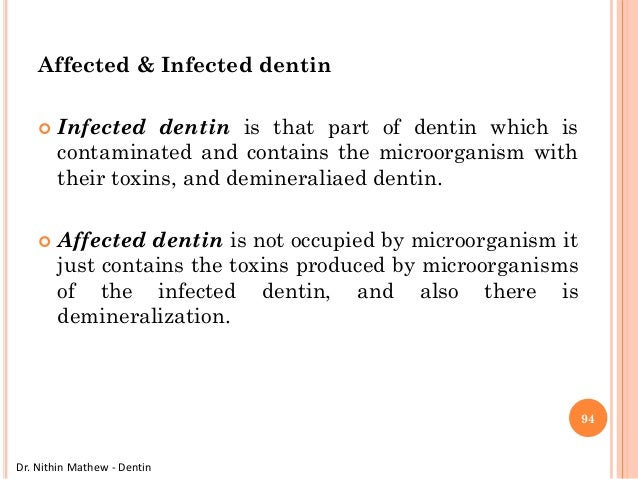 Dentin