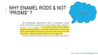 Enamel Rods and its implications | PPT