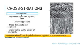 Enamel Rods and its implications | PPT