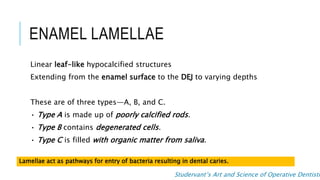 Enamel Rods and its implications | PPT