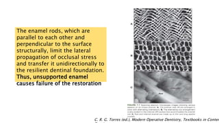 Enamel Rods and its implications | PPT